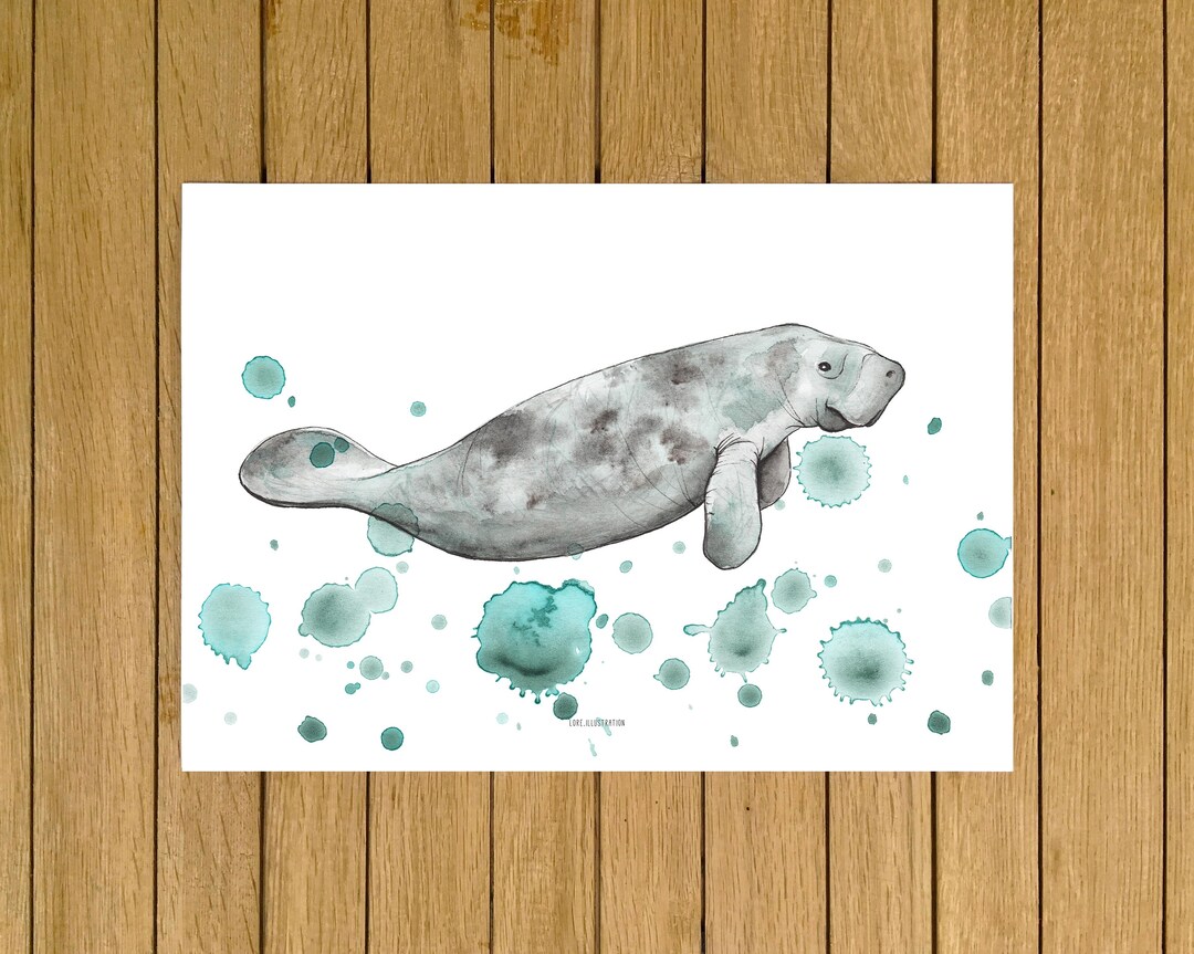 Manatee, US Animals, Snooty the Manatee, Bradenton Museum, Florida Art ...