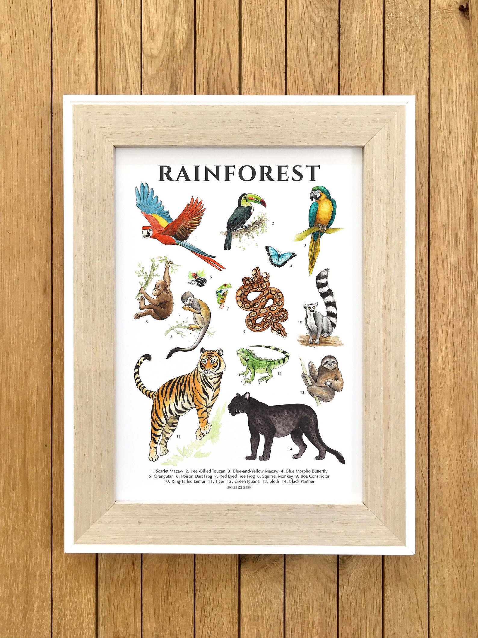Rainforest Poster, Rainforest Animals, Watercolor Art, Nursery Decor ...