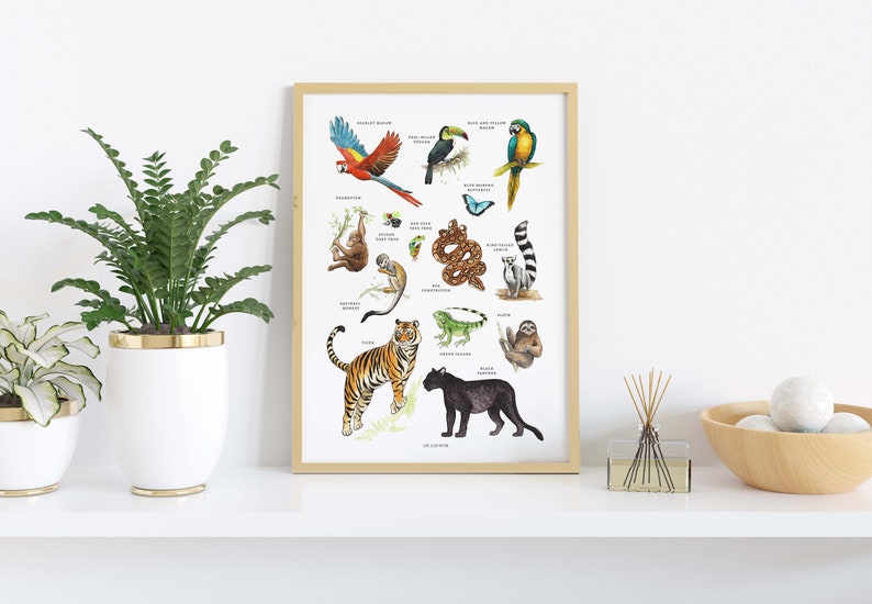 Rainforest Poster Rainforest Animals Watercolor Art Nursery | Etsy