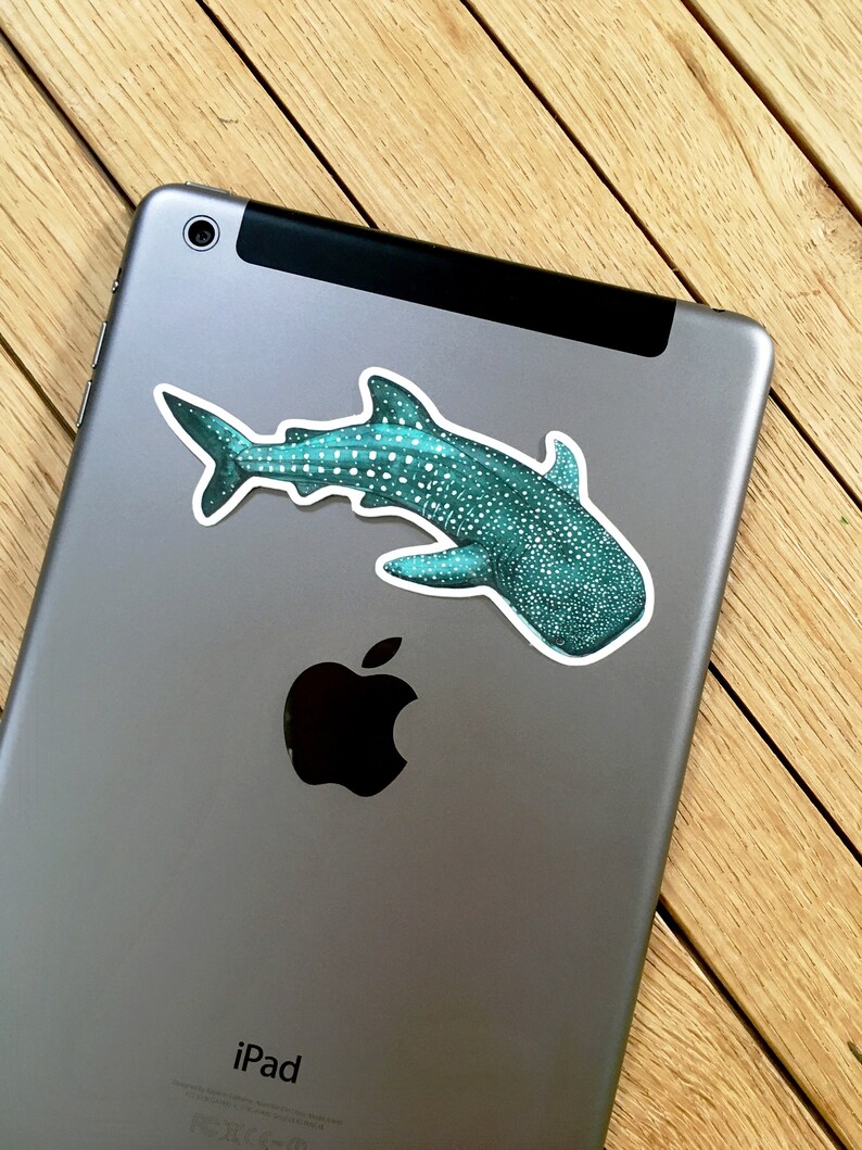 Hai Sticker Vinyl Sticker Haie Ocean Life plastikfreie - Etsy.de