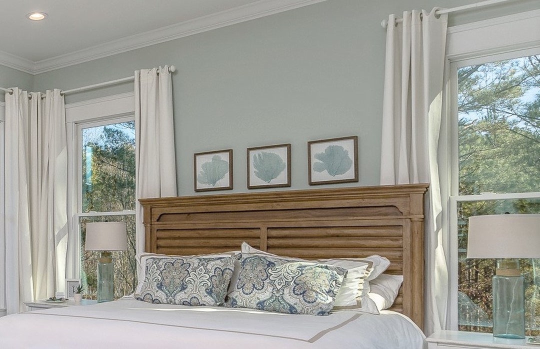 Set of 3 Framed Sea Fans, Seafoam - Etsy