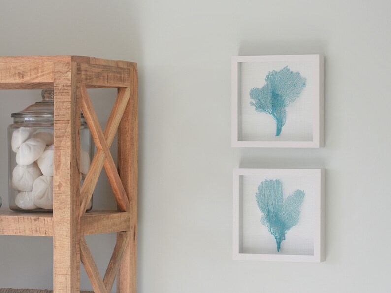 Pair of Framed Sea Fans Aqua | Etsy