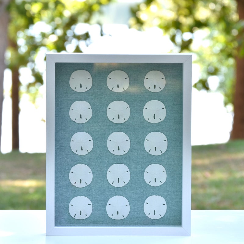 Shell Art Shadow Box - Etsy