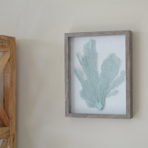 Pair 2 of Framed Sea Fans White With Custom Color Frame - Etsy