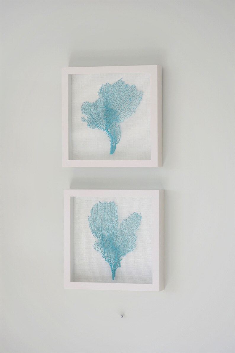 Pair of Framed Sea Fans Aqua | Etsy