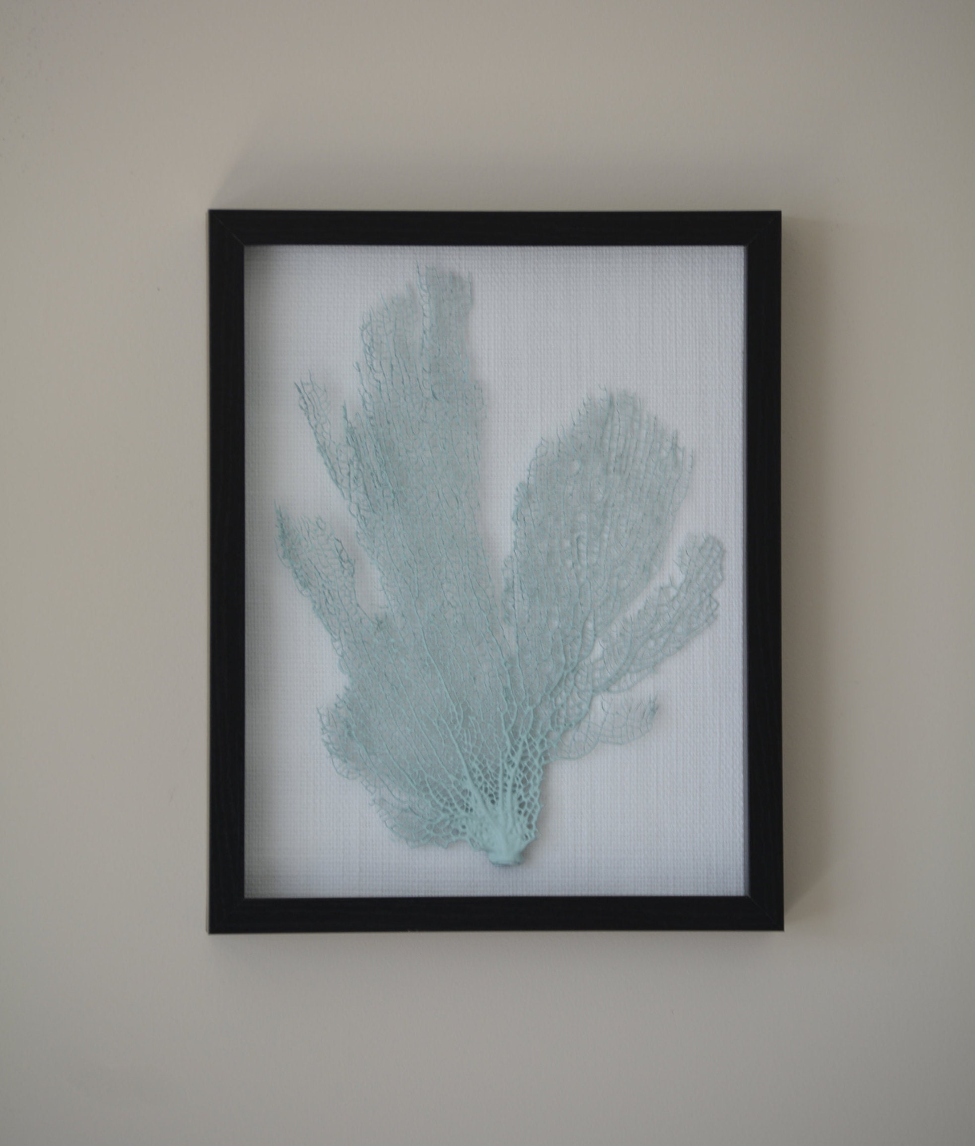 Framed Sea Fan Seafoam Choice of Frame Color - Etsy