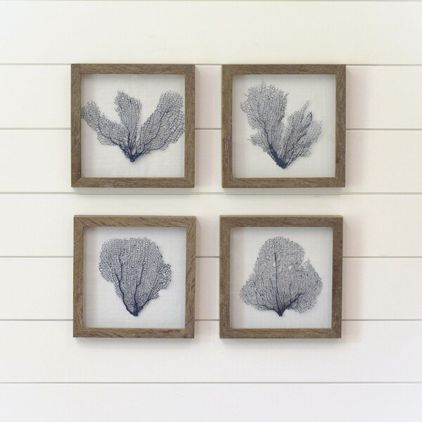 Sea Fan - Etsy
