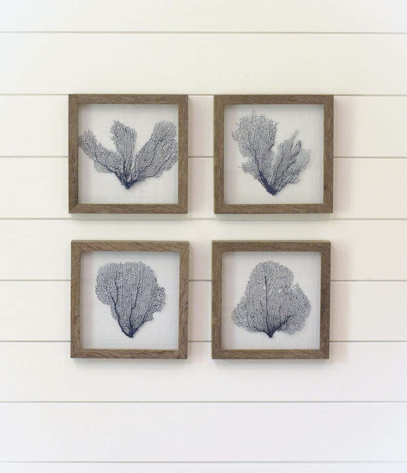 Set of 4 Framed Sea Fans Nautical Blue Sea Fans - Etsy