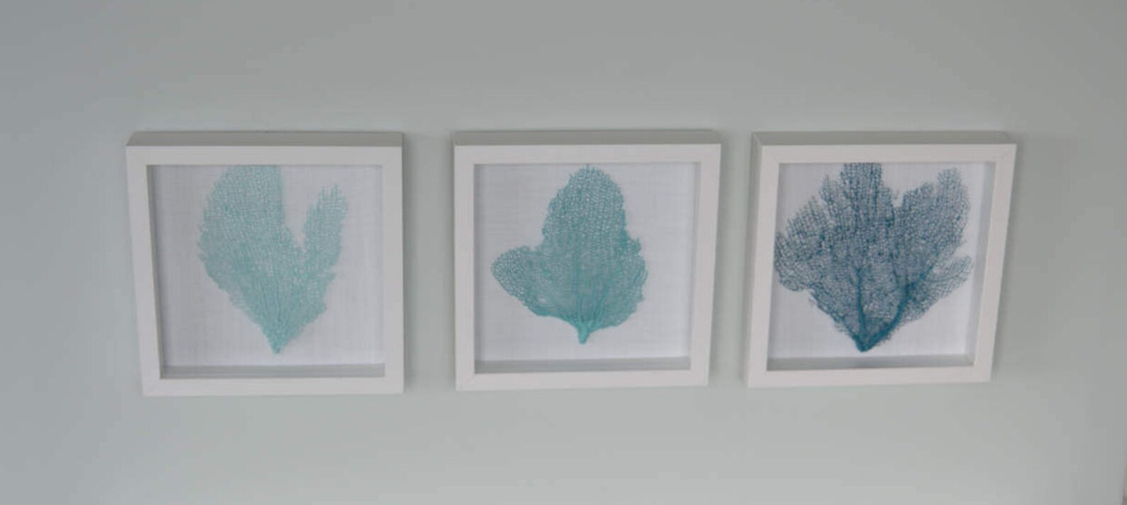 Set of 3 Framed Sea Fans, the Sea Glass Collection - Etsy