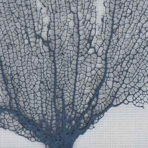 Set of 3 Framed Sea Fans, Coastal Blue - Etsy
