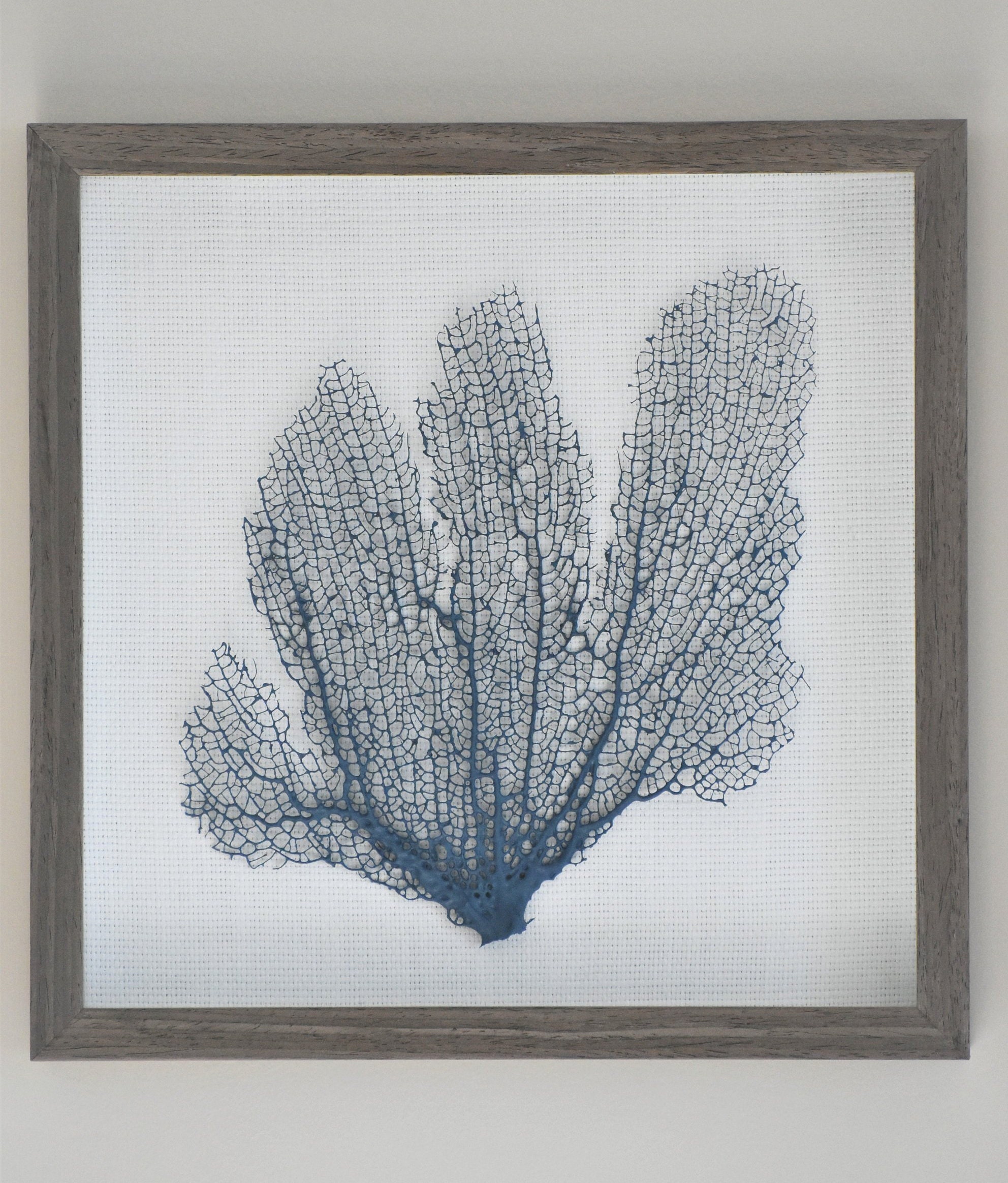 Set of 3 Framed Sea Fans, Coastal Blue - Etsy