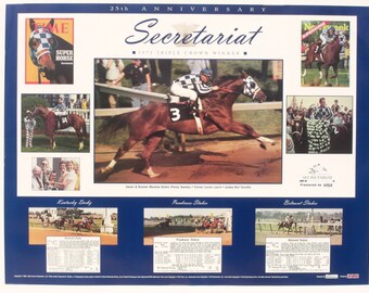 SECRETARIAT Time Magazine Cover 22 x 28 poster | Etsy