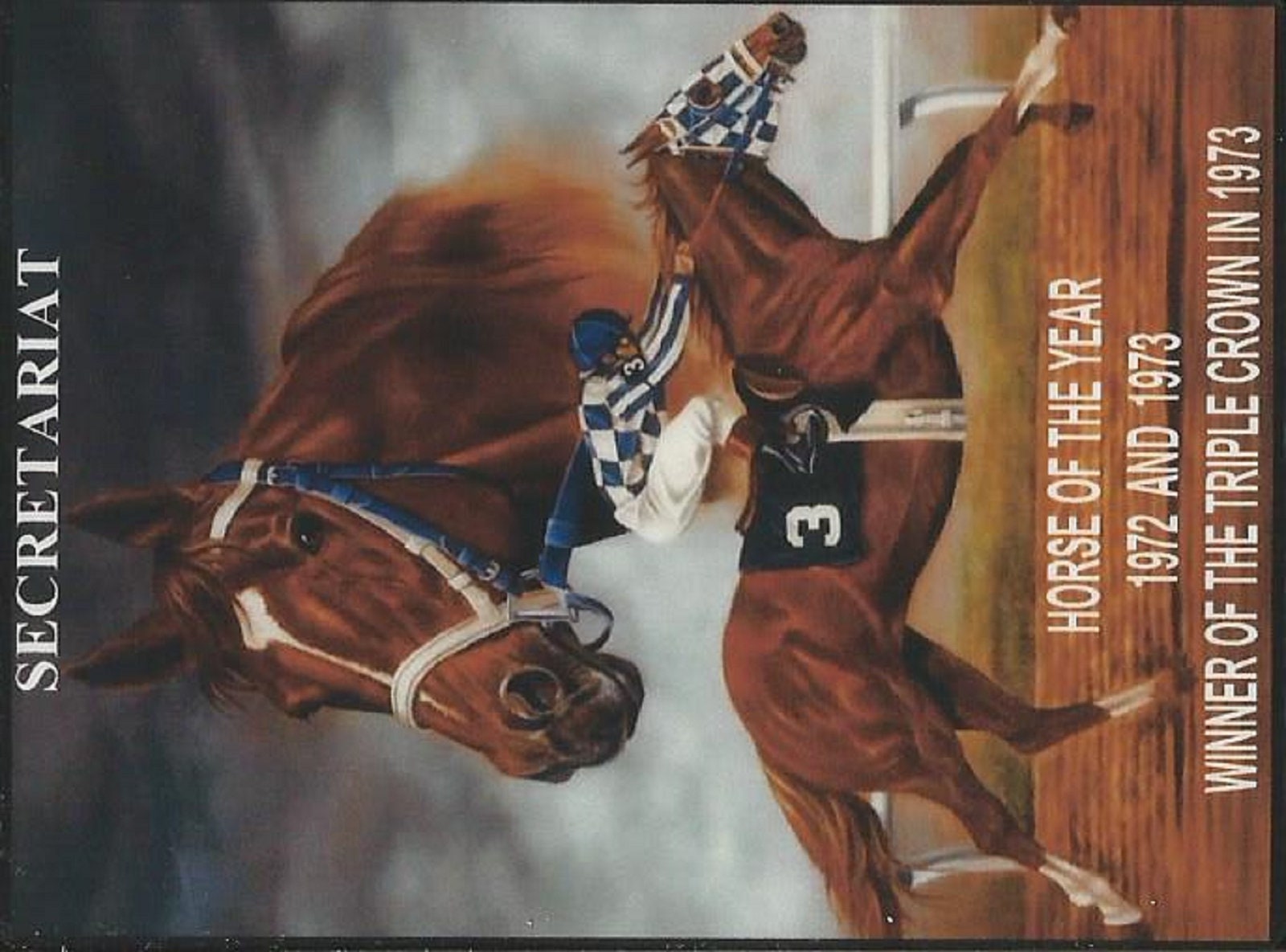 SECRETARIAT - 1972 - 1973 Horse of the Year & Triple Crown Winner - 8 ...