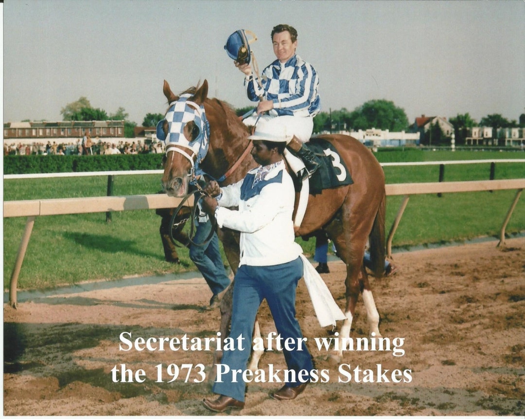 SECRETARIAT After Winning the 1973 Preakness Stakes - Close Up - Etsy
