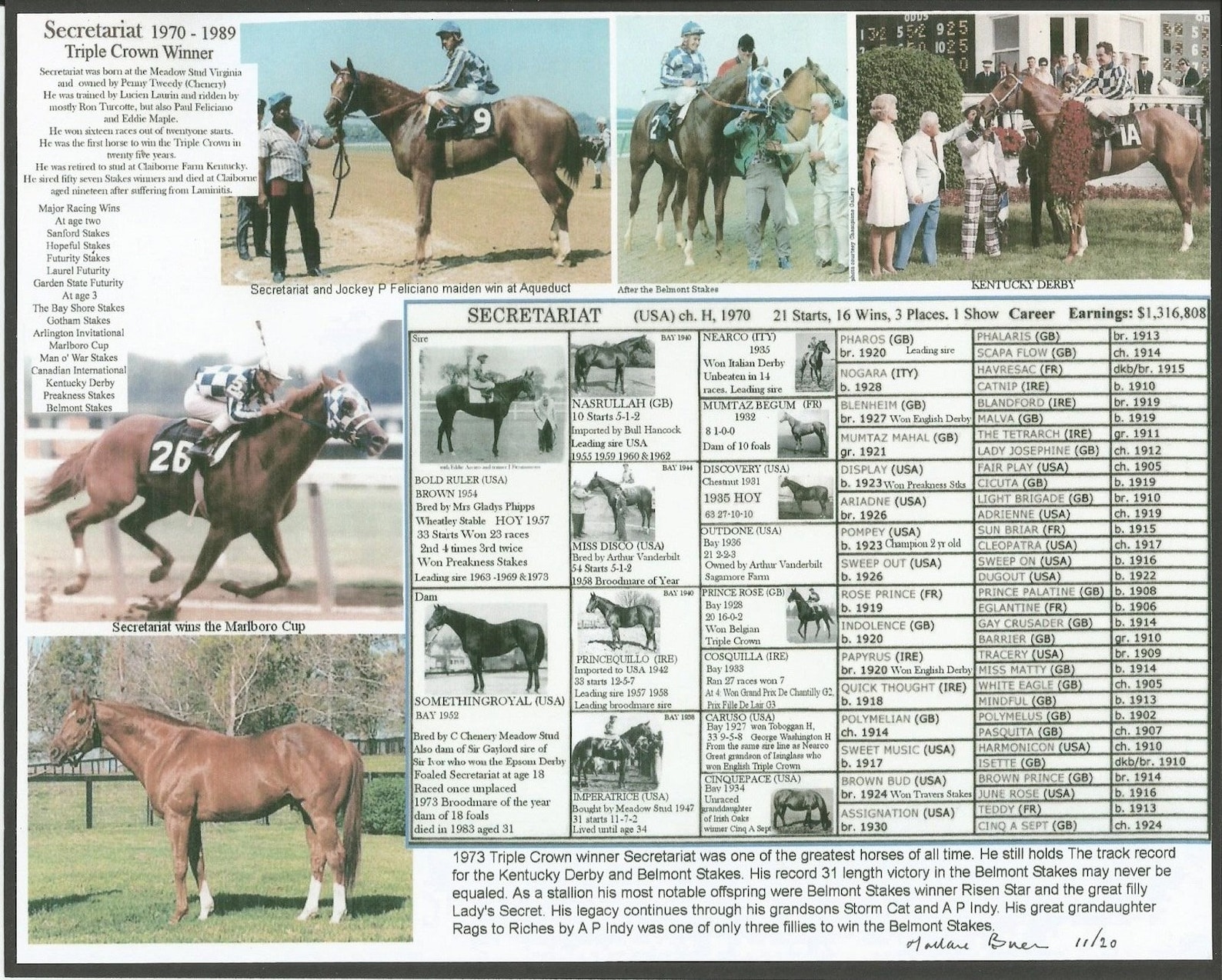 SECRETARIAT - Triple Crown Winner Picture Pedigree Photo - 10" X 8" - Etsy