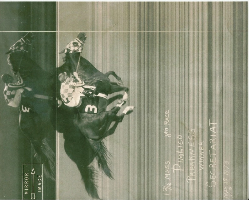 SECRETARIAT - Preakness Stakes Finish Line Camera Photo on May 19th ...