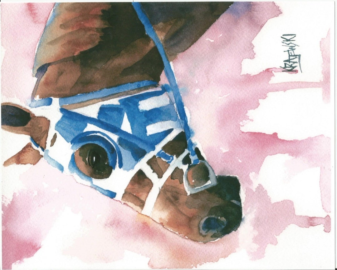 SECRETARIAT - Water Color Photo - 8" X 10" - Etsy