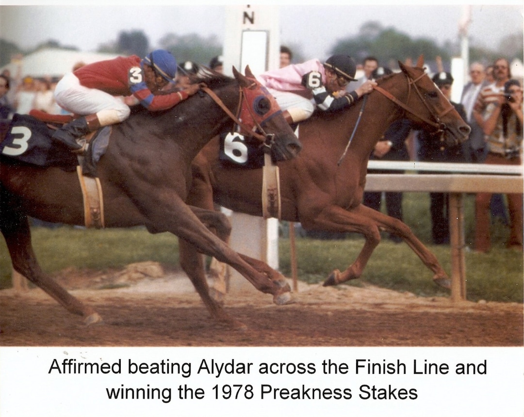 Affirmed Beating Alydar Across the 1978 Preakness Stakes Finish Line - Etsy