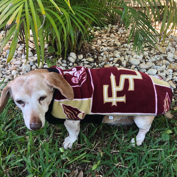 Florida State University - Etsy