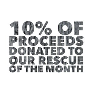 Green Bay Packers Over Collar Dog Bandana, NFL, Pet Scarf, Reversible ...