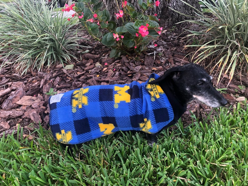 University of Michigan Wolverines Football Fleece Dog Coat - Etsy