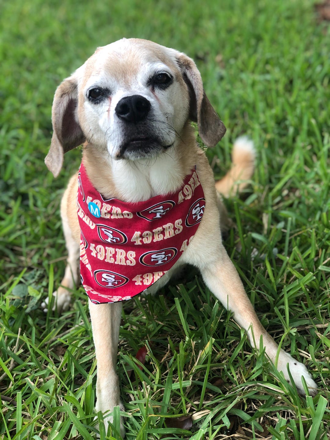 San Francisco 49ers Over Collar Dog Bandana, NFL Pet Scarf, Reversible ...