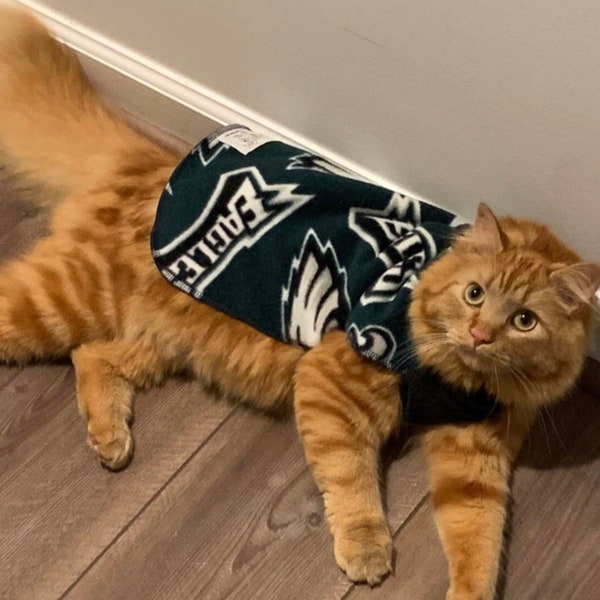 Philadelphia Eagles Shoes - Etsy