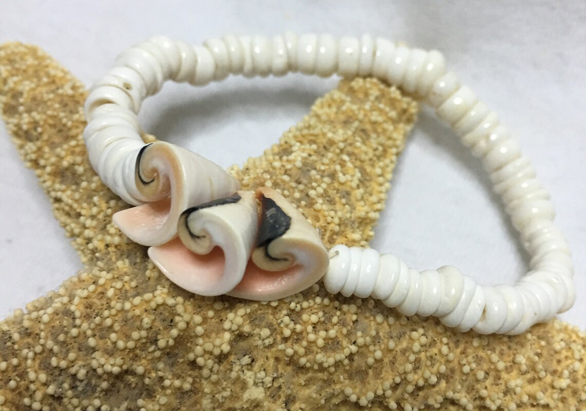 Unique Puka Shells with Luhanus Spiral Sliced Shells on | Etsy
