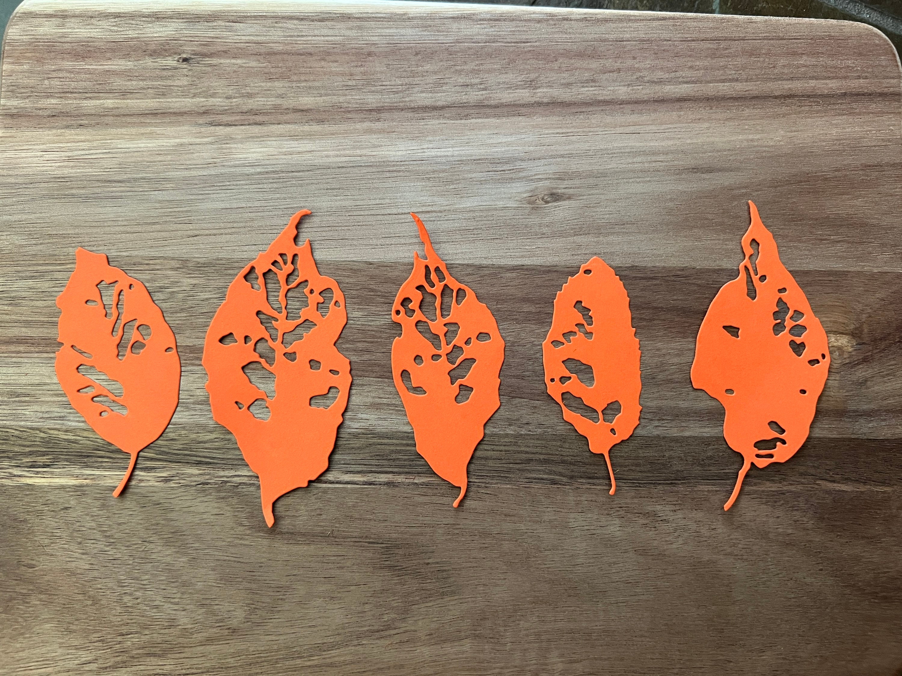 Leaf Fragments - Cardstock Die Cuts From Tim Holtz, Set of 25 in 5 Fall ...