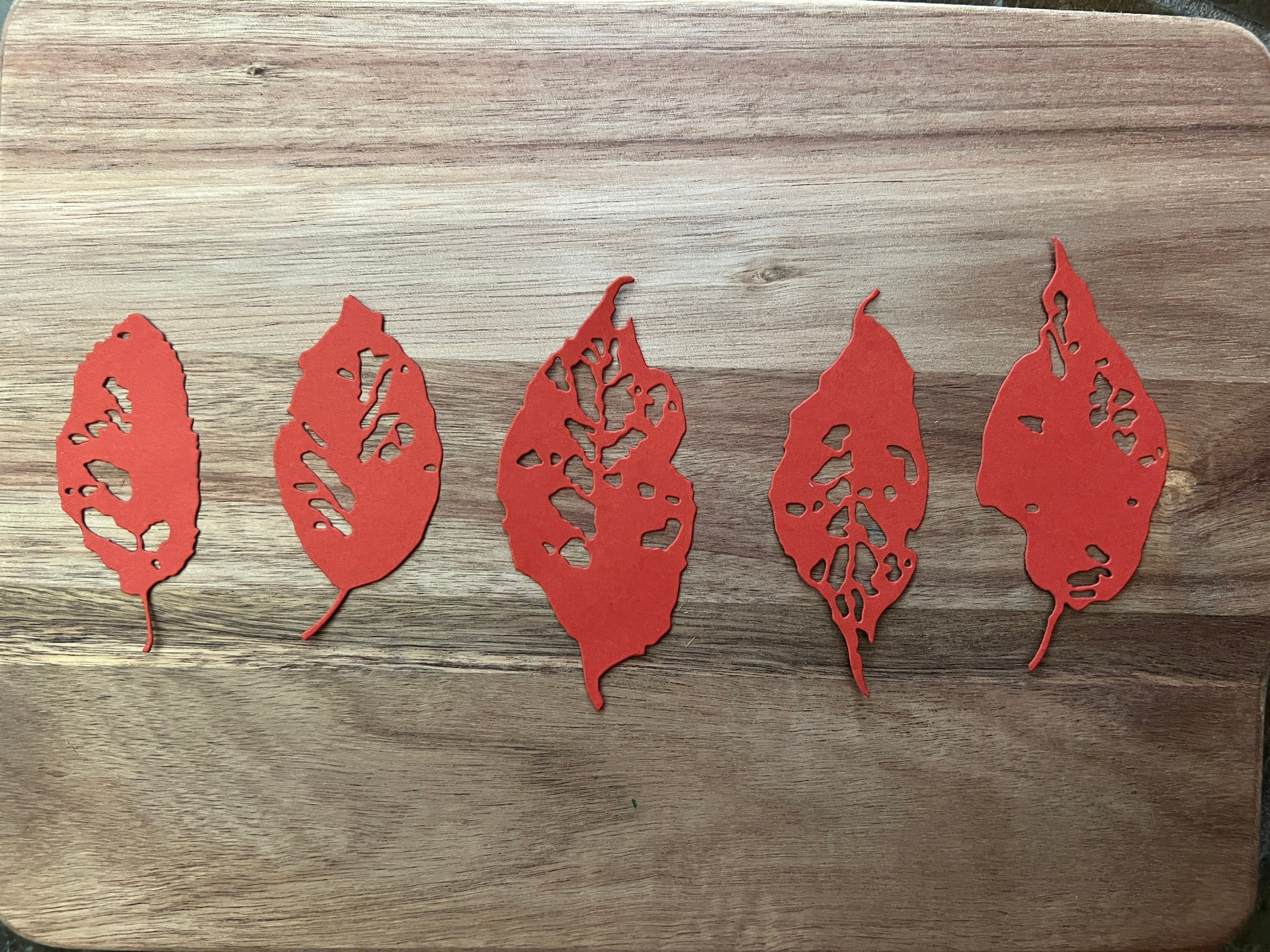 Leaf Fragments - Cardstock Die Cuts From Tim Holtz, Set of 25 in 5 Fall ...