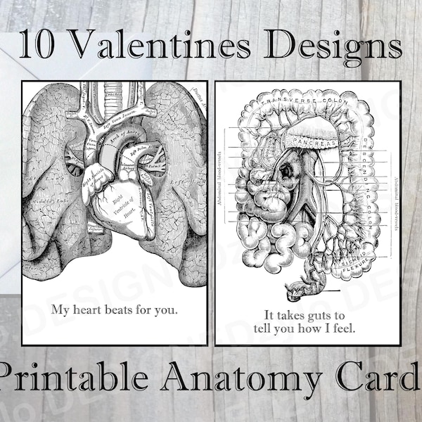 Anatomy Valentines Card - Etsy