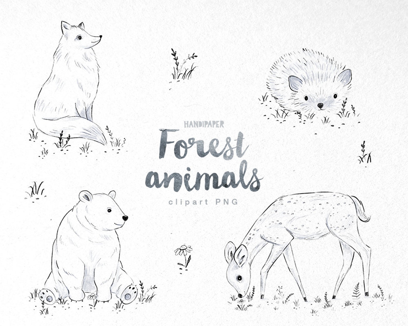 Forest Animals CLIPART PNG Printable Download Digital - Etsy