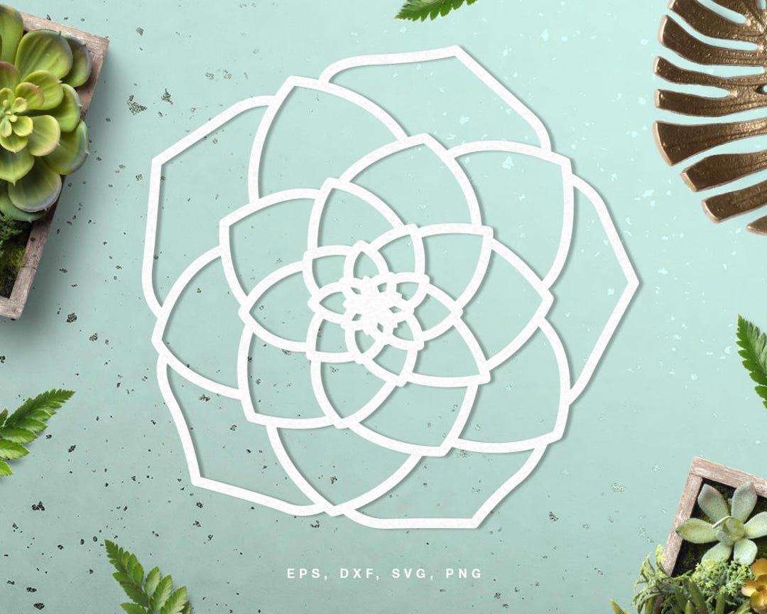 Succulent Cut File (svg, Dxf, Png, Eps) for Use With Silhouette, Cricut ...