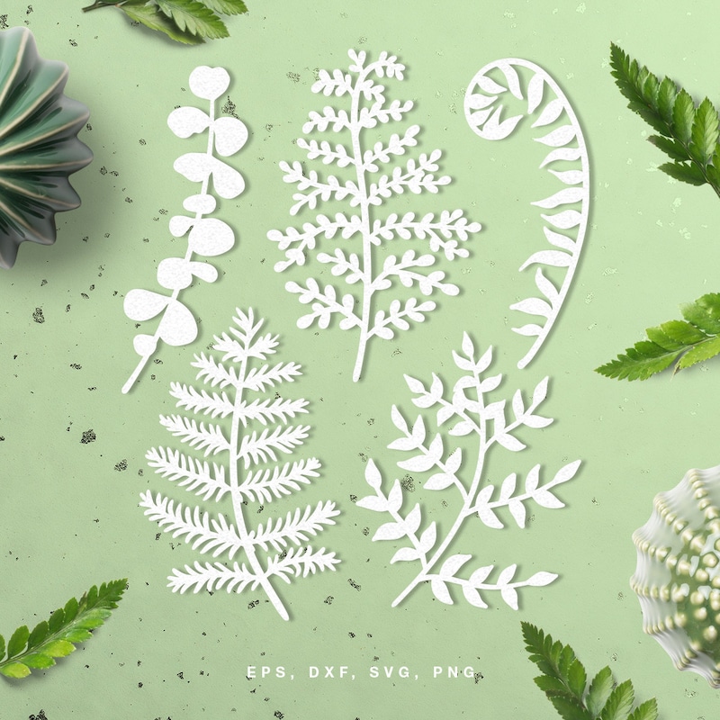 Fern Svg - Etsy