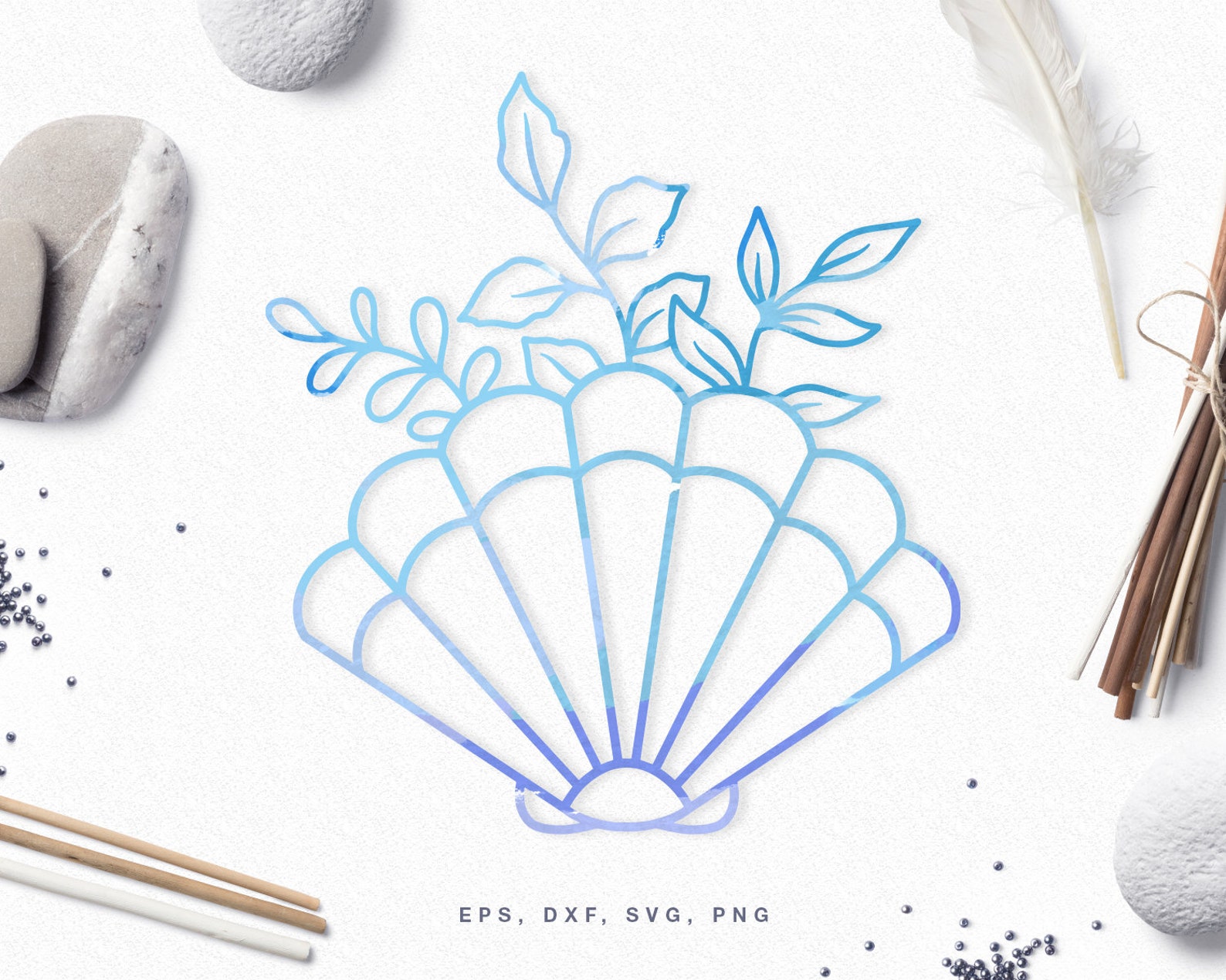 Seashell SVG File Cut File for Cricut & Silhouette in Svg - Etsy