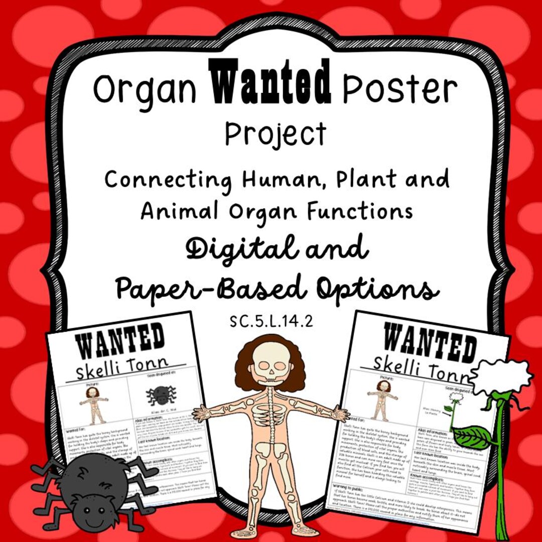 Organ Wanted Project | Comparing Human Plant Animal Organ Function ...