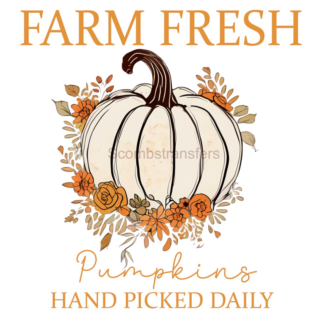 Farm Fresh Pumpkins DTF Transfer, Sublimation Transfer, Ready to Press ...