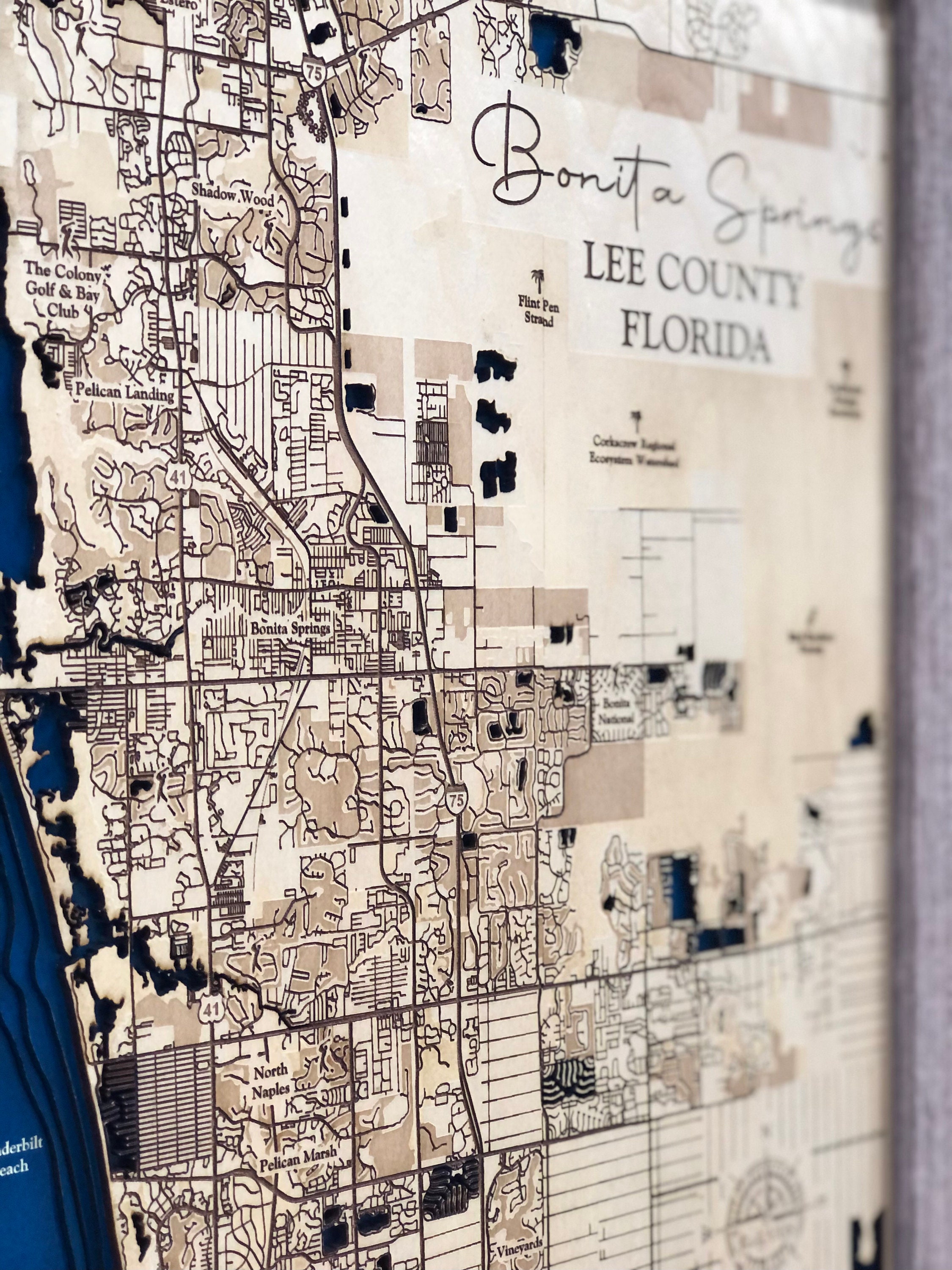 Mapa De Bonita Florida