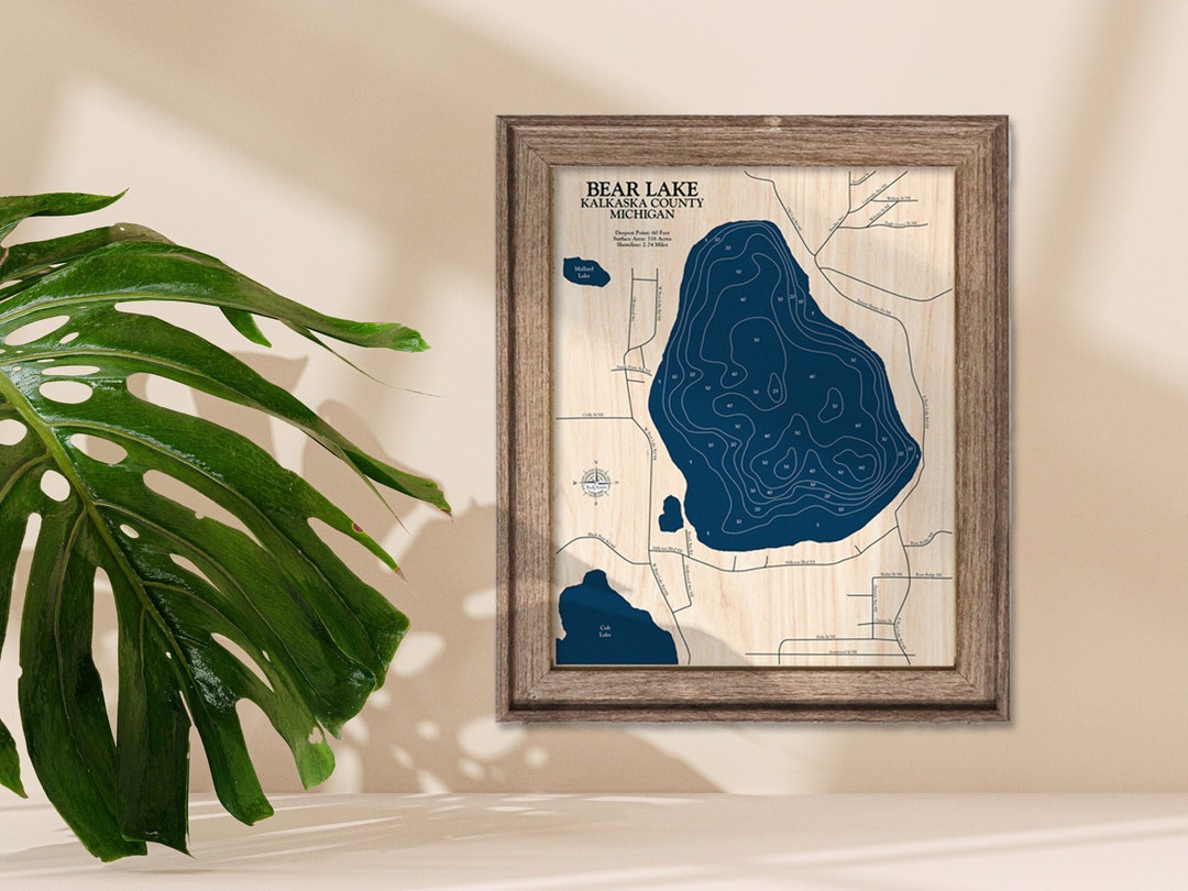 Bear Lake Map, Custom Wood Map, Custom Lake Art, 3D Wall Art, Contour ...