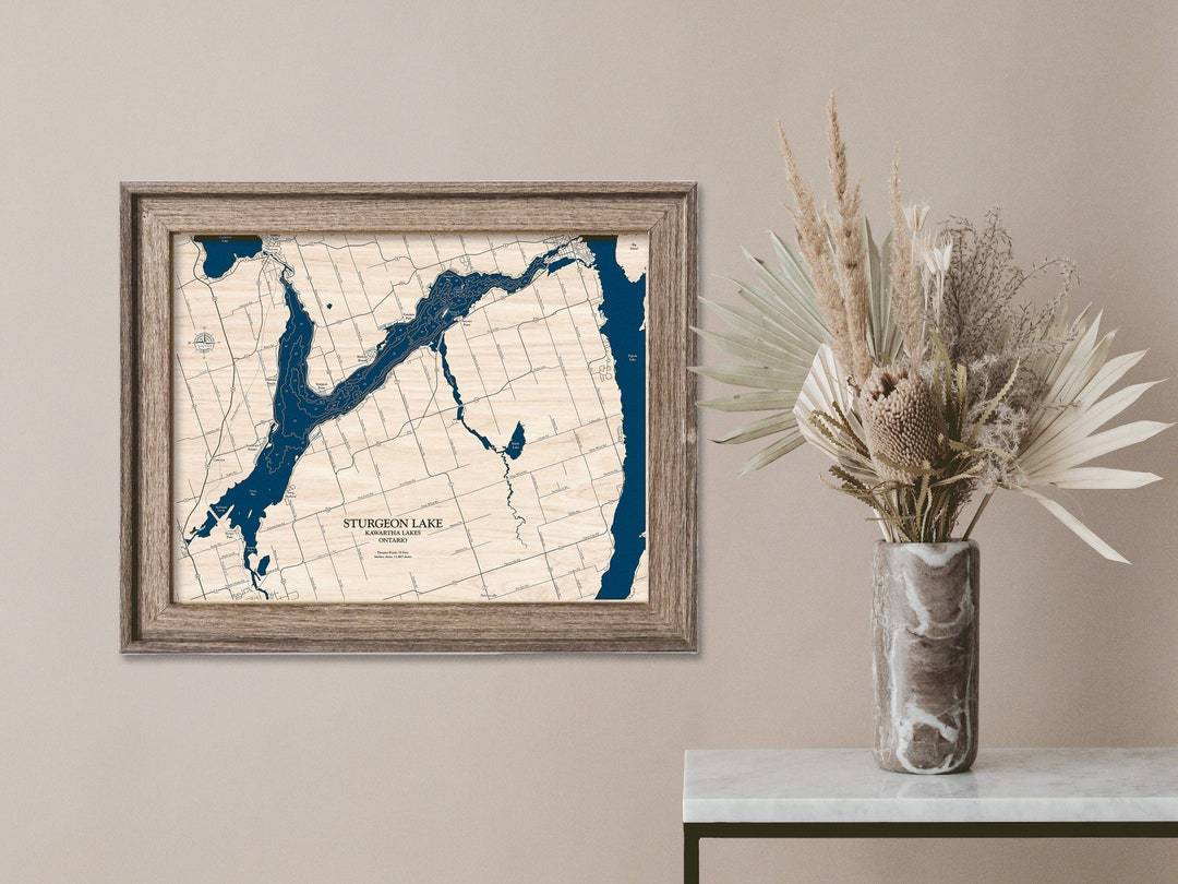 Sturgeon Lake, 3D Lake Map, Wood Lake Map, Custom Lake Map, Custom Lake ...
