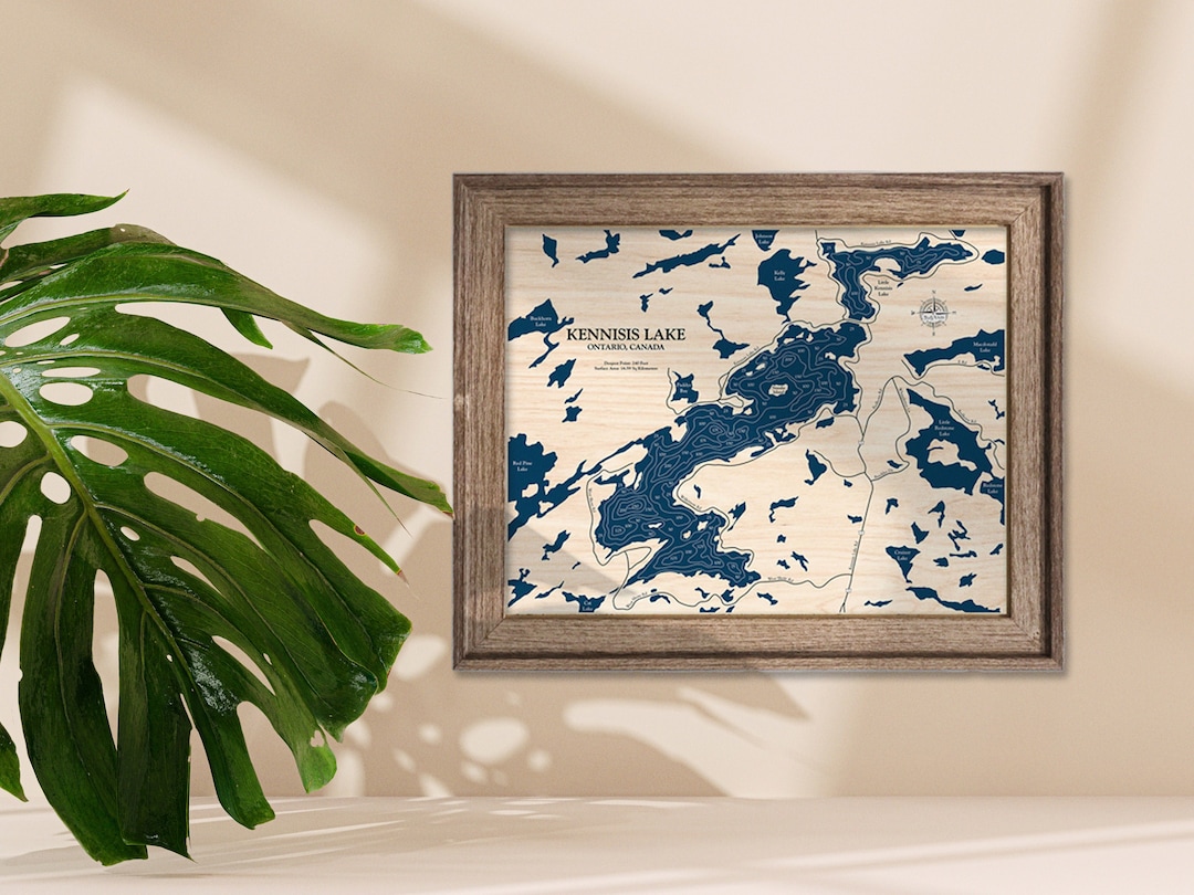 Kennisis Lake Map, Custom Lake Map, Wood Lake Map, 3D Wall Art, Contour ...