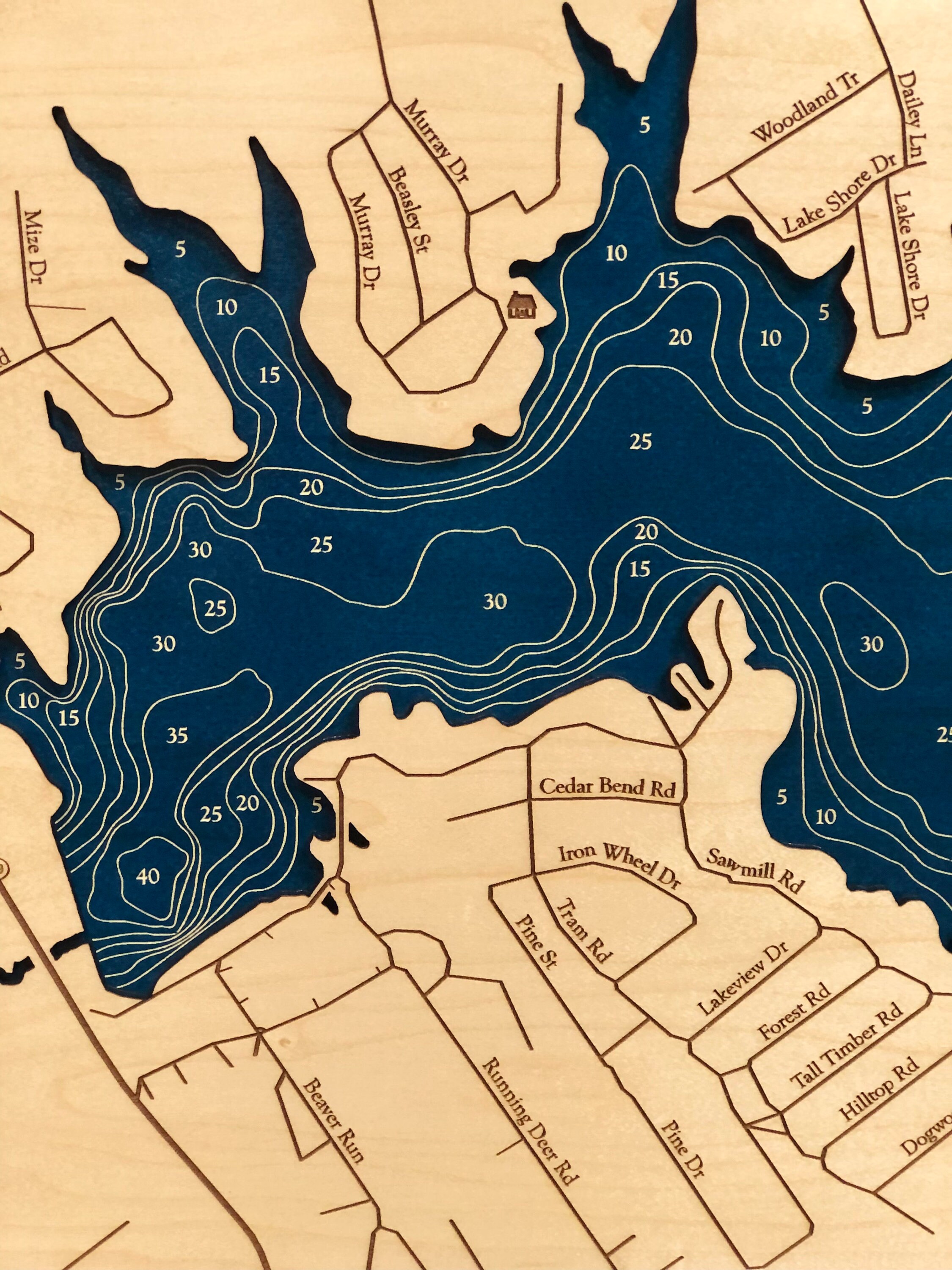 Houston County Lake Custom Wood Map 3D Art Contour Map | Etsy