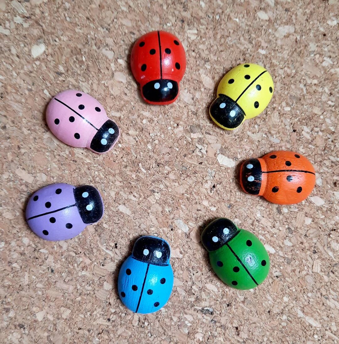 Chunky Wooden Rainbow Coloured Ladybird/ladybug Push Pins/thumb Tacks ...