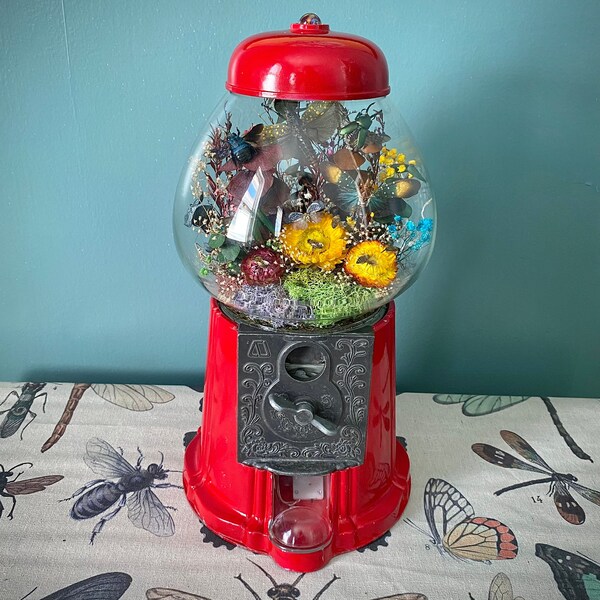 Gumball Machine With Stand - Etsy