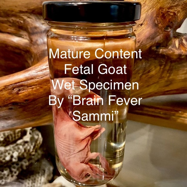 Wet - Etsy