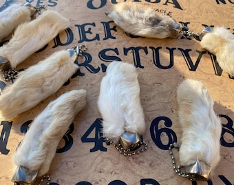 Real Rabbit Foot | Etsy