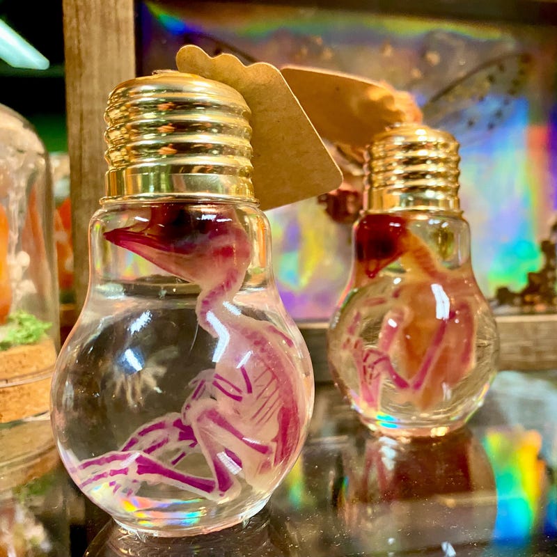 Diaphonization - Etsy