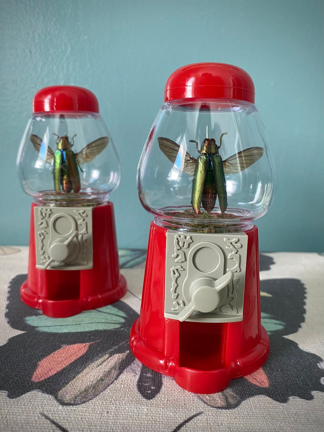 Flying Beetle Gumball Machine - Etsy