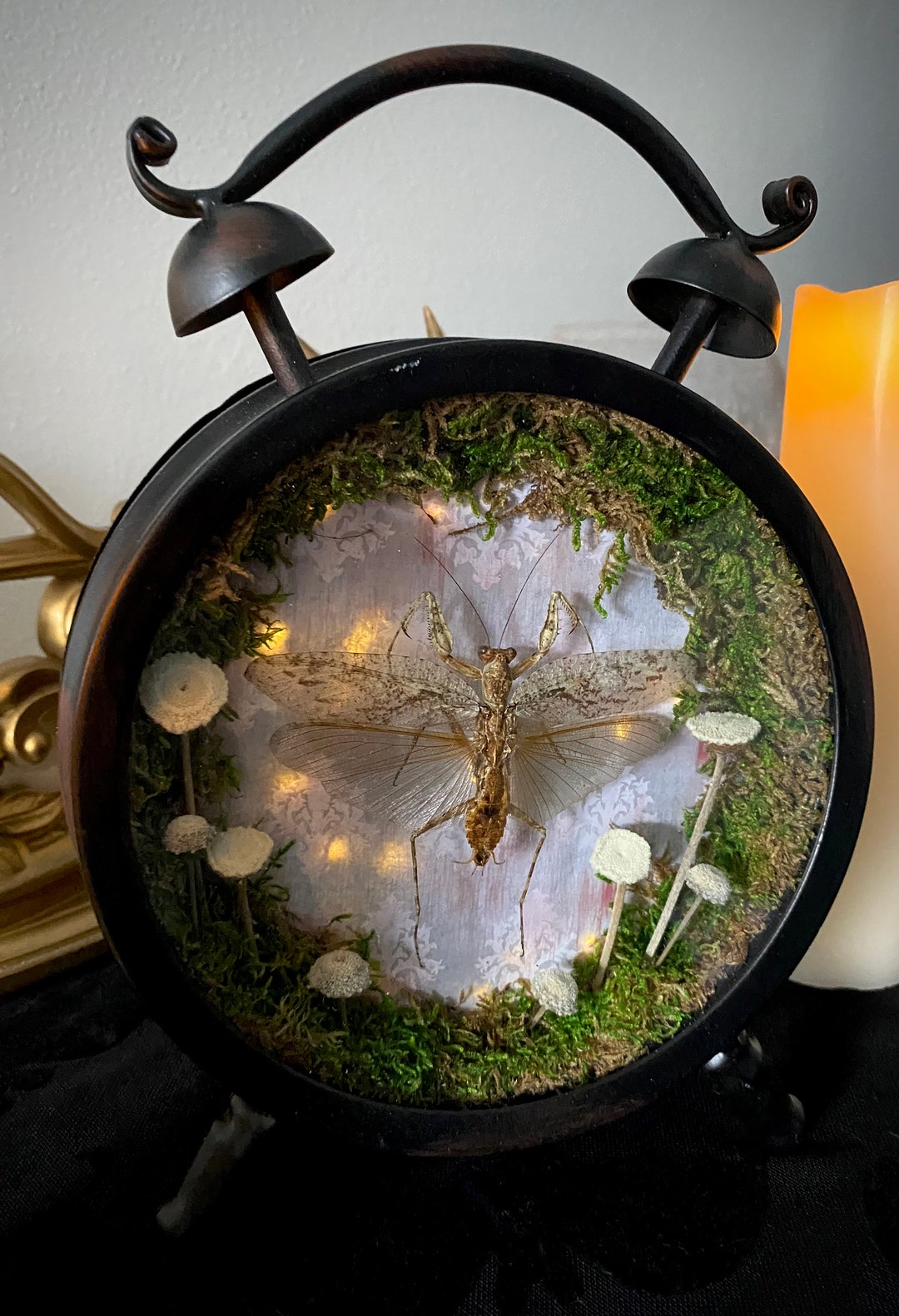 Praying Mantis in Clock - Etsy