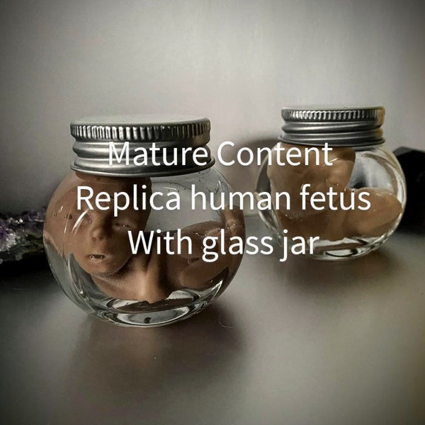 Human Fetus - Etsy